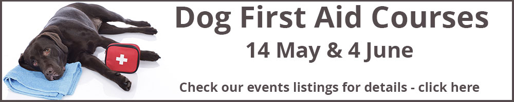 Dog Training, Near Didcot, Oxfordshire